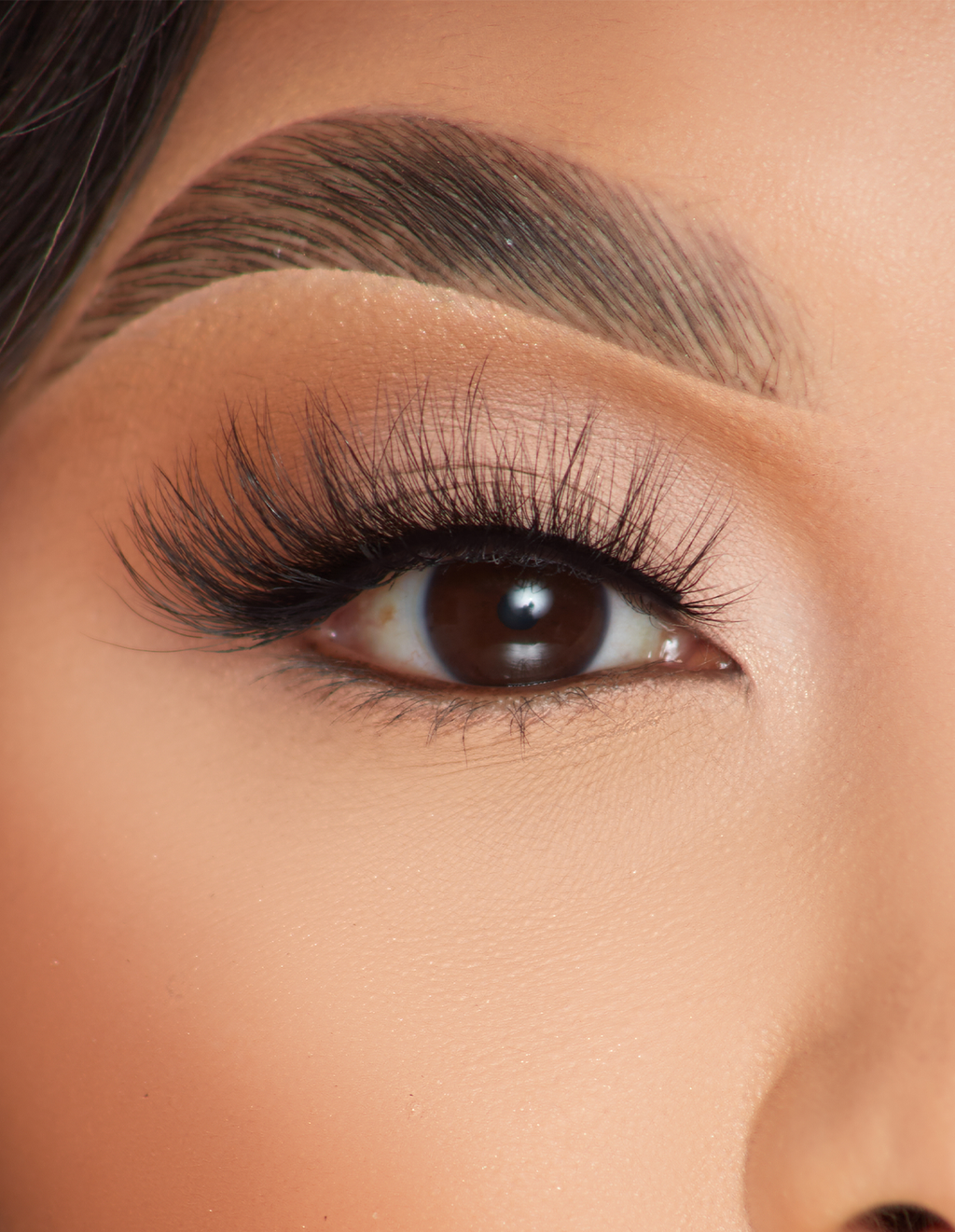 P.Louise Foxy Flicks Foxy Lashes – P. Louise Cosmetics