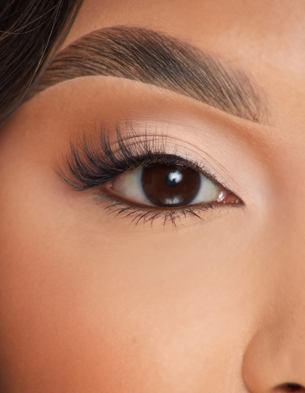 P.Louise Side Eye Side Lashes – P. Louise Cosmetics